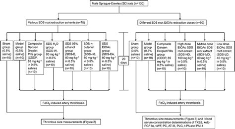 Flow Chart Of The Rat Experiments Download Scientific Diagram