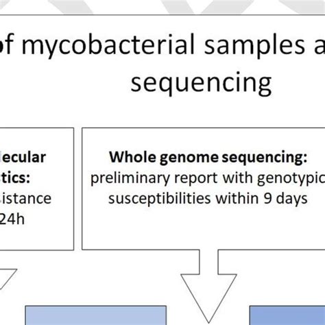 Current Applications Of Whole Genome Sequencing And Mycobacterium Download Table