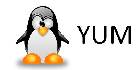 Common Errors On Yum On CentOS RHEL Or Fedora