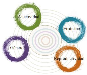 TeorÍa De Los Holones