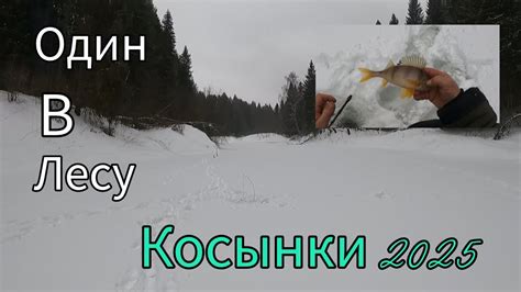 ГЛУХОЗИМЬЕ РЫБАЛКА НА КОСЫНКИ 2025 РЫБА РВЕТ КОСЫНКИ ТАЕЖНАЯ РЕЧКА