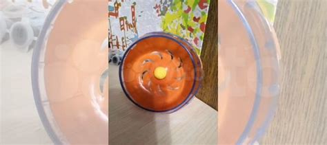 Колесо для джунгарского хомяка купить в Кинеле | Животные и зоотовары ...