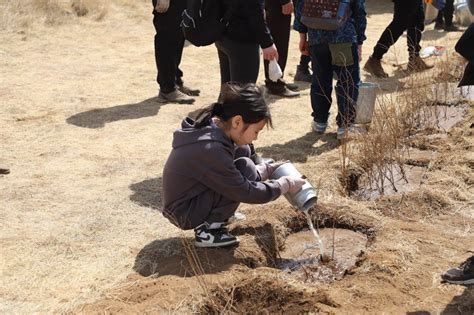 Цахилгаан Цахилгаан Дамжуулах Үндэсний Сүлжээ ТӨХК