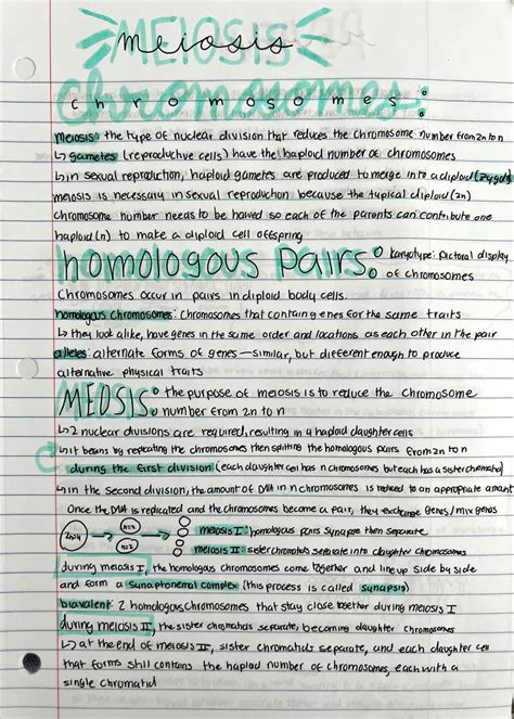 Solution Ap Biology Meiosis Simple And Detailed Notes Studypool