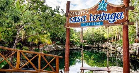 Cenotes Casa Tortuga Tulum GetYourGuide