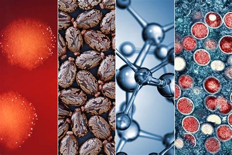 Phemce Collaboration