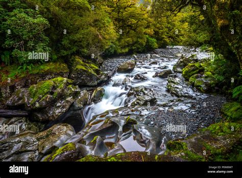 Chasm Fall Fiordland National Park Milford Sound New Zealand Stock