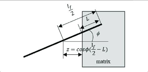 The Position Relation Of A Single Fiber And Matrix Download