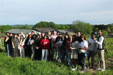 Chaitali Chorge On Linkedin Digitalprojectdevelopment Surreybusinessschool Visionengineering