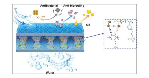Robust Zwitterionic Poly Imidazolium Coated Pvdf Membrane For Oily Water Treatment With