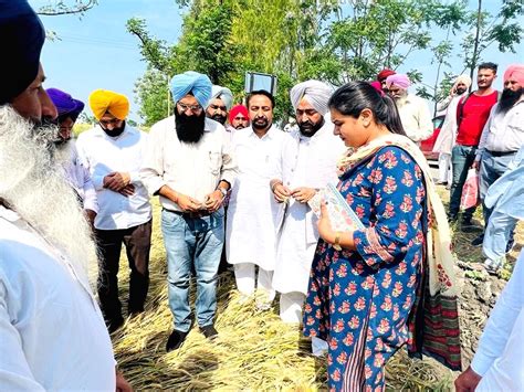 Punjab Cm Asks Mlas To Expedite Wheat Crop Loss Relief
