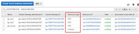 中转网关 Transit Gateway Connect连接类型集成FortiGate安全服务 亚马逊AWS官方博客