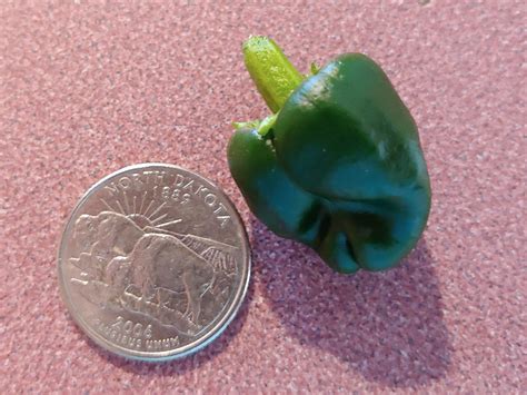 1524 Best Stuffed Peppers Images On Pholder Ketorecipes Food Porn