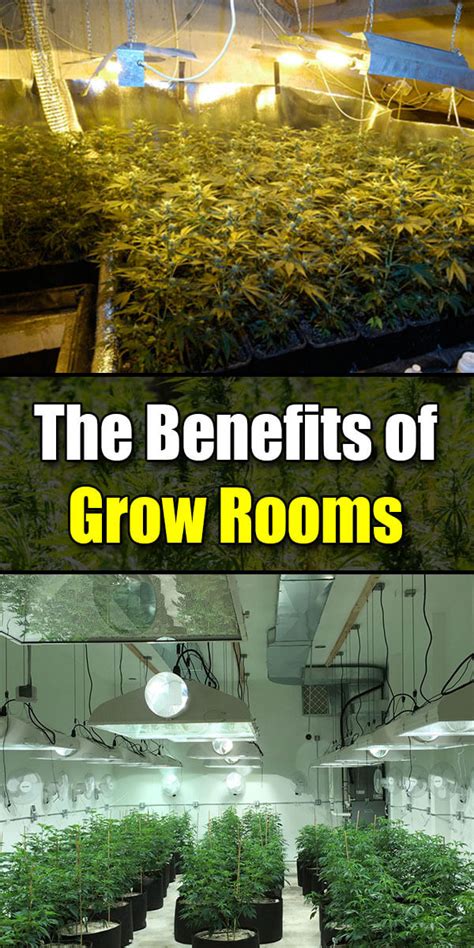 Grow Rooms And Their Benefits Golly Gee Gardening