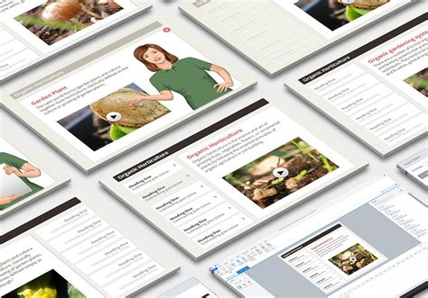 free e learning timeline interaction for articulate storyline by montse