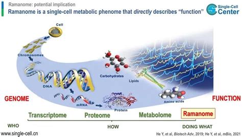 单细胞中心与星赛生物应邀参加tbm线上医研企合作座谈会（第八期） 青岛生物能源与过程研究所单细胞研究中心