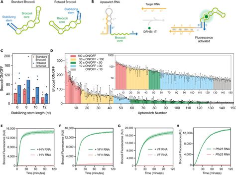 Rapid Multiplexed And Enzyme Free Nucleic Acid Detection Using