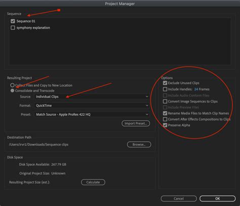 Exporting A Sequence As Seperate Clips From Premiere Easier Answers