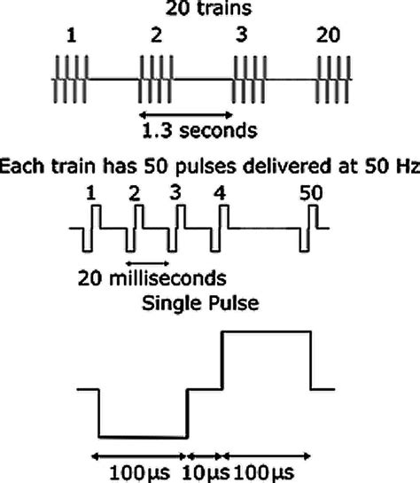 Illustration Of Stimulation Paradigm Current Amplitude Was Varied