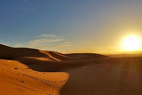 Se Puede Convertir La Arena Del Desierto En Tierra De Cultivo Ambientum