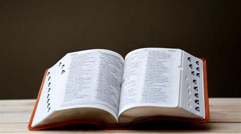 Multilingual Dictionary Launched