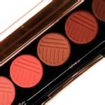 Dose Of Colors Sassy Siennas Eyeshadow Palette Review Photos Swatches