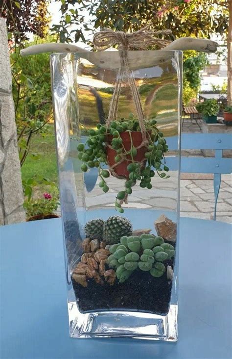 Succulents And Propagation Saw This On Pintrestplan On Trying It