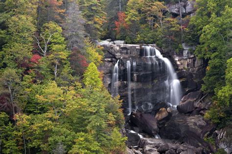 Our Impact — Wildlands Network - Biodiversity Conservation + Wildlife ...