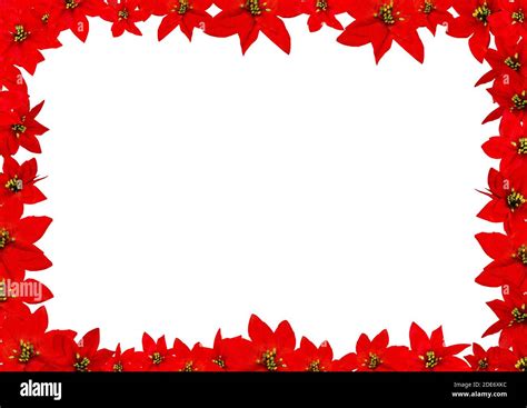 Poinsettia Border Images