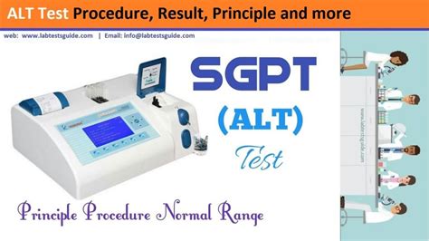 Alt Test Procedure Result Principle And More Lab Tests Guide