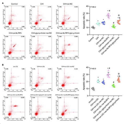 Blockage Of The Hmgb1 Rage Nlrp3 Axis Decreases The Apoptosis Of