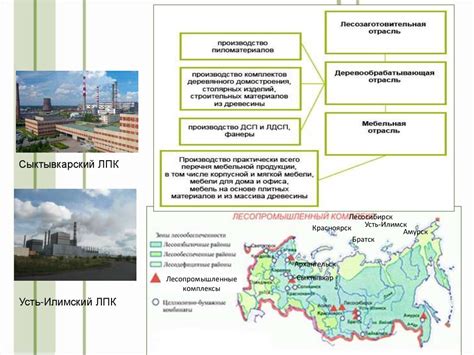 Лесная промышленность России 9 класс презентация онлайн