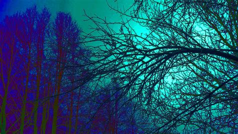 Blue Psychedelic Wallpaper Supportive Guru