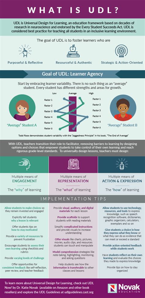 What Is UDL Infographic Novak Educational Consulting