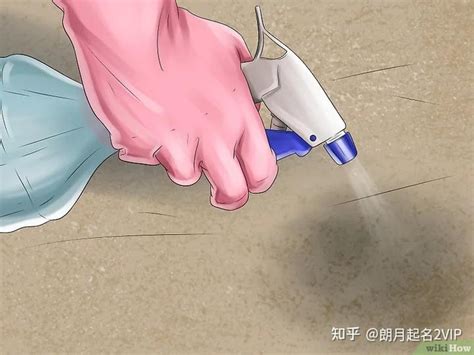 如何去除狗尿味 知乎