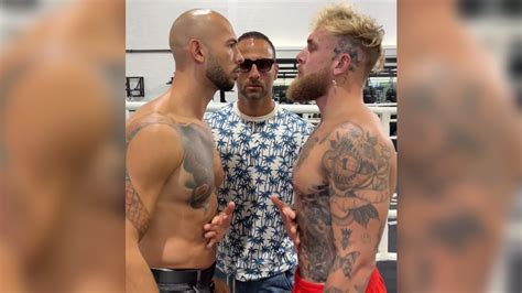 Jake Paul Vs Andrew Tate Trending Images Gallery List View Know