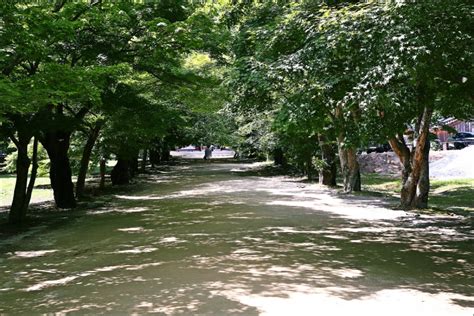 전북 여행지 추천 부안 가볼만한곳 변산반도 국립공원 부안 내소사 전나무 숲길 네이버 블로그