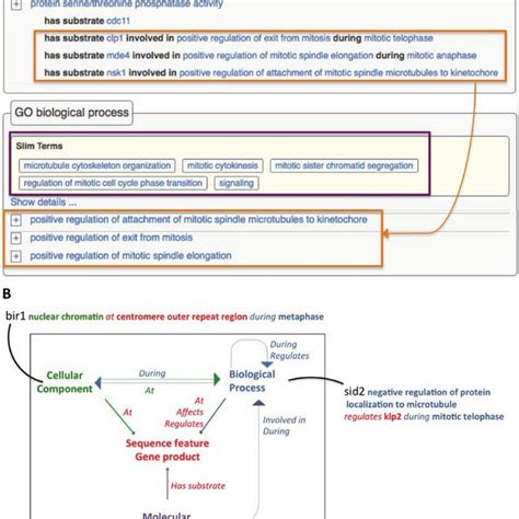 Go Annotations And Extensions A Summary View Of Selected Annotations Download Scientific