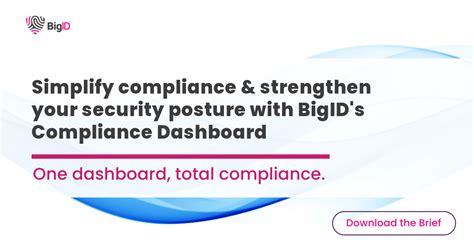 Bigid Express Fast Track Your Data Discovery Risk Reduction And Compliance Journey Bigid