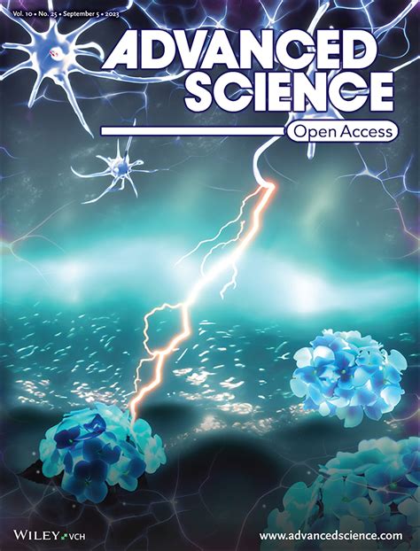 Mno2 Nanoflower Integrated Optoelectronic Biointerfaces For