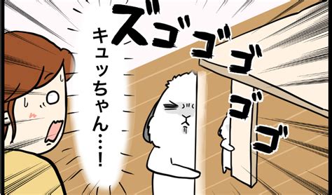 やきもち焼きが極まるうさぎ。 【うさぎ漫画ブログ】せわびとの部屋
