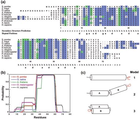 Alignment Secondary Structure And Coiled Coil Predictions Of Known Download Scientific