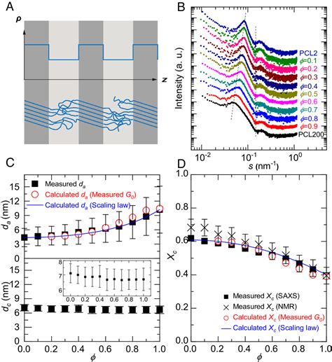 How Entanglements Determine The Morphology Of 58 Off