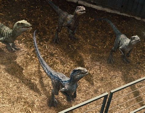 Instagram Photo By Blue Beta Velociraptor • May 25 2020 At 858 Am Velociraptor Instagram
