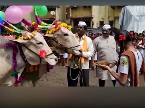 Bail Pola 2022 Celebrated At Various Places In Maharashtra Bail Pola