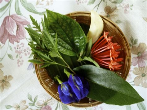 Thai Cooking Class With Miss Amita Cooking Class Bangkok