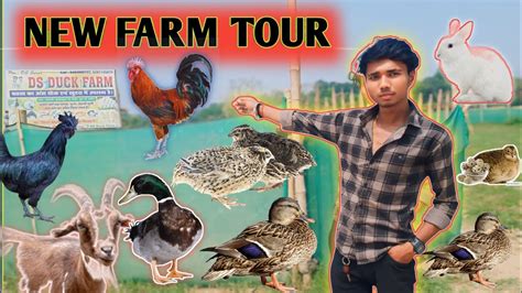 🐔🦆finally नदी के Side खोल दिए अपना न्यू Integrated फार्म 🦆 सोनाली बतख