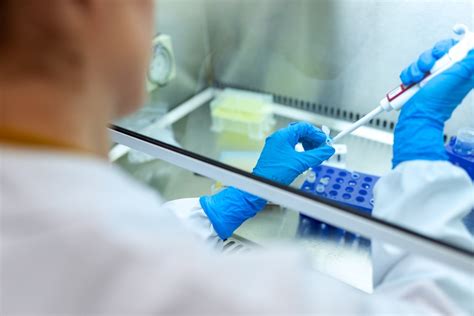Tips For Performing A Successful Cell Based Assay