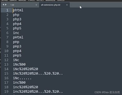day47：web攻防 php应用and文件上传and函数缺陷and条件竞争and二次渲染and黑白名单andjs绕过 文件上传黑白名单 csdn博客