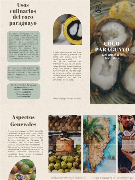 Tríptico Coco Paraguayo Pdf Paraguay Alimentos